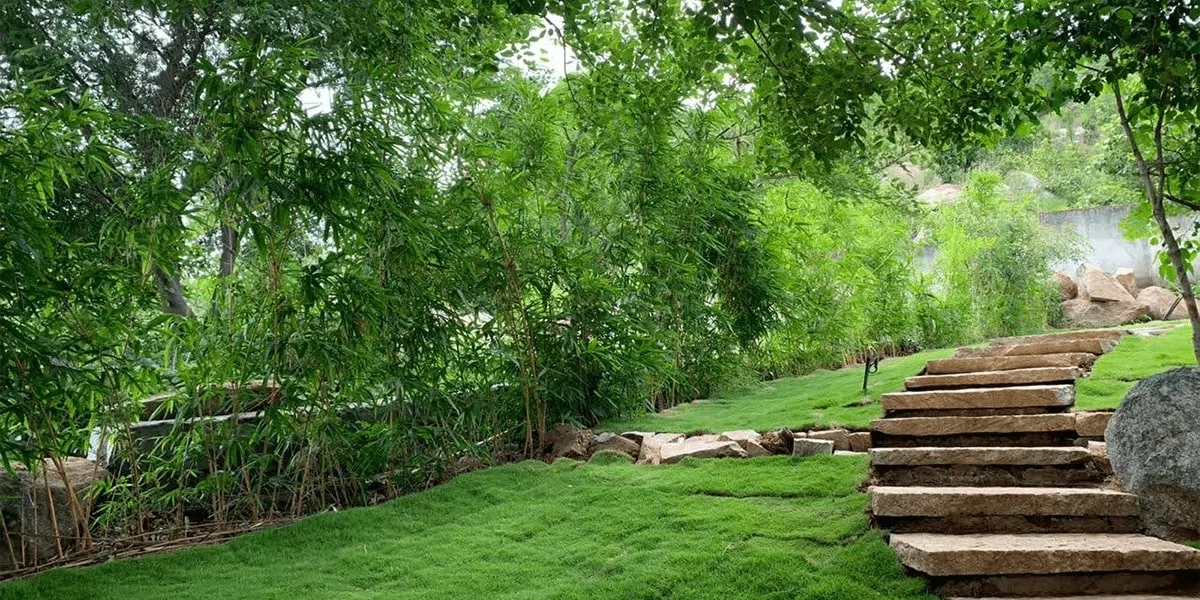 Large Estates Villa Plots in Nandi Hills | Villa Plots - The Estates